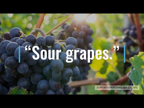 "Sour Grapes" Idiom Meaning, Origin & History | Superduper English Idioms
