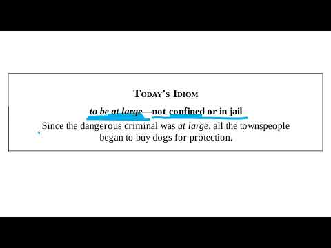 to be at large idiom meaning in Hindi Urdu | Barron's 1100 words idioms book imp vocabulary
