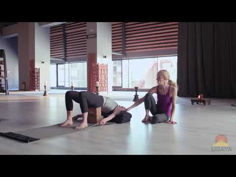 Annie Carpenter, SmartFLOW Yoga - Bridge Pose Tutorial I UDAYA.com
