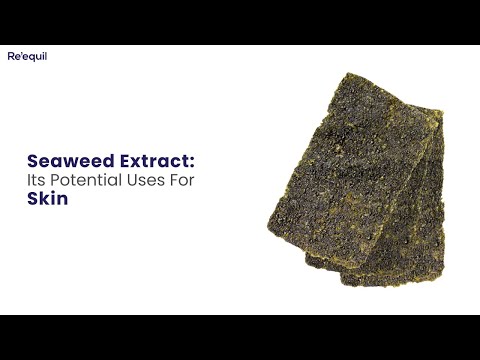 Seaweed Extract: Its Potential Uses For Skin