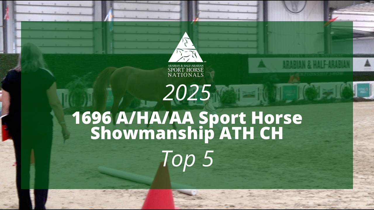 Sport Horse Nationals 2025 Showmanship Top 5
