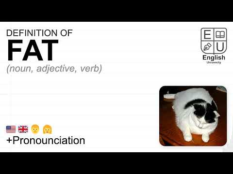 FAT meaning, definition & pronunciation | What is FAT? | How to say FAT