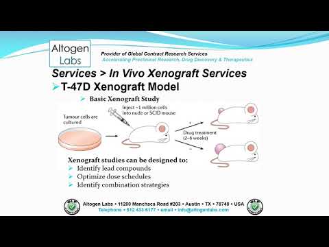 Altogen Labs T-47D Xenograft Service Breast Cancer