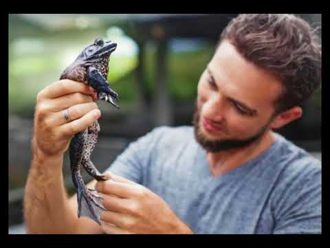 What Is Environmental Conservation