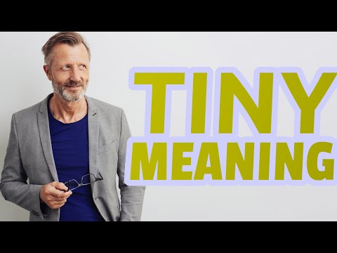 Tiny | Meaning of tiny π π π