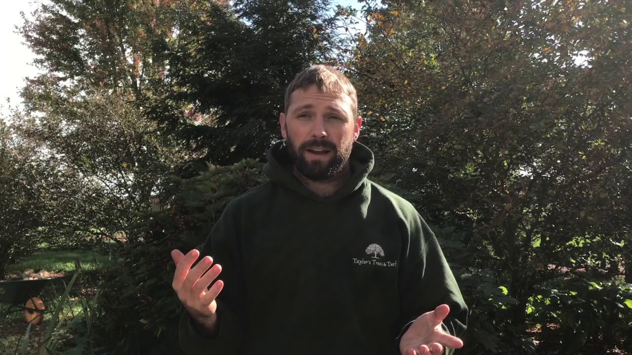 How to Prepare your Landscape Shrubs and Trees for Winter