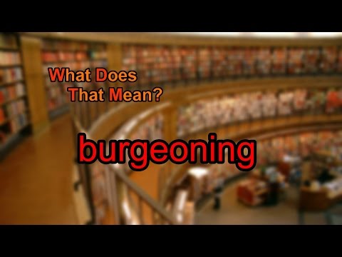 What does burgeoning mean?