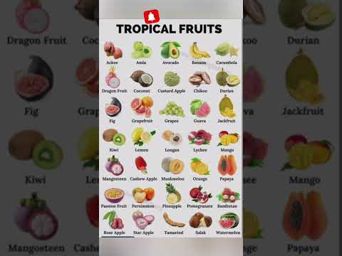Tropical Fruit Name in English with Images#Shorts#tropical Fruits