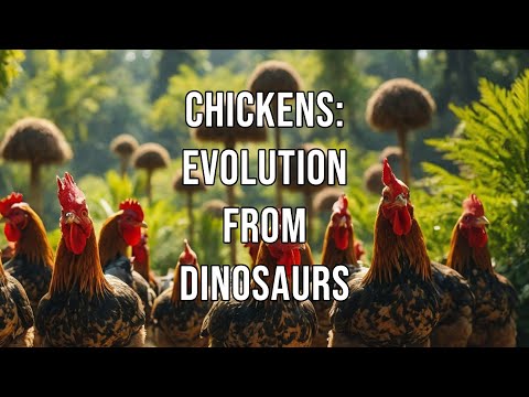 Chickens Evolution from Dinosaurs