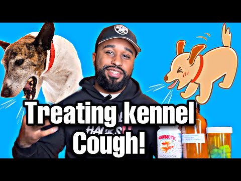 Treating kennel cough! Fix at Home ๐