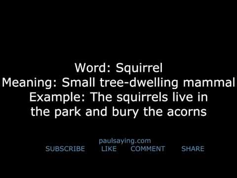 HOW TO PRONOUNCE ' SQUIRREL '. WITH DEFINITION, EXAMPLE, PRONUNCIATION. LEARN ENGLISH!