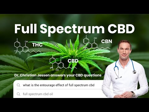 Full spectrum CBD - What is The Entourage Effect?