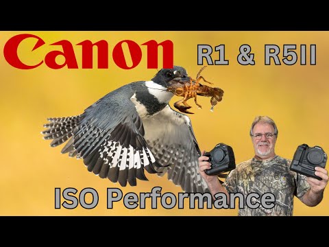 Canon R1 vs R5 II: ISO performance comparison