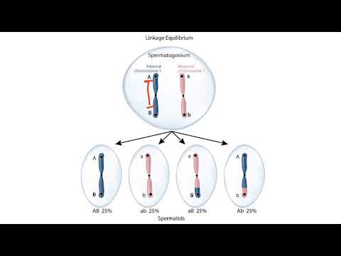 USMLE Step 1 Linkage Disequilibrium