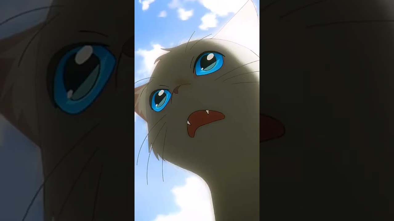 A Whisker Away