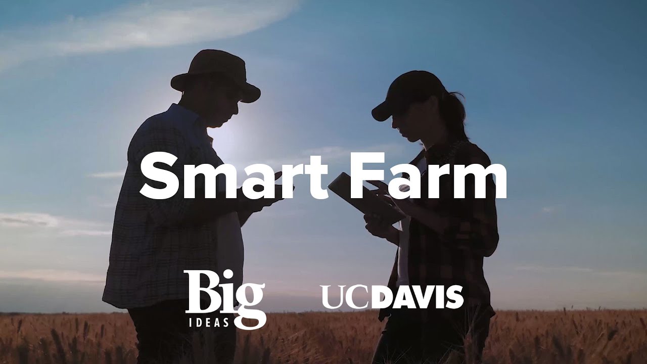 Innovating with Smart Farm | UC Davis Big Ideas