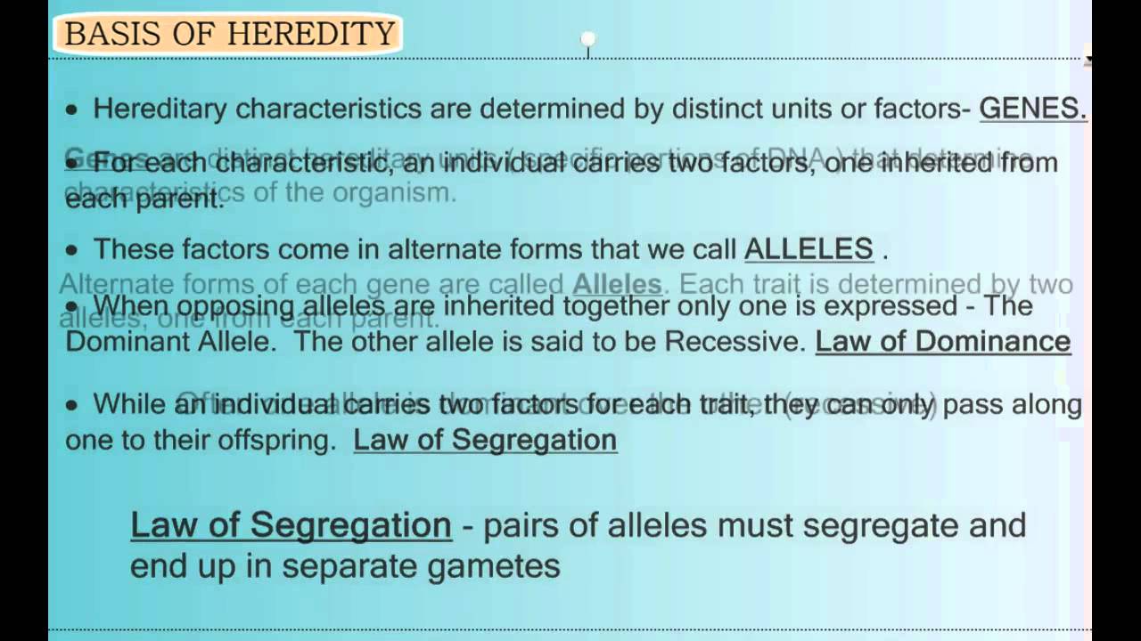 Genetics Part 1: Basic Mendelian (new)