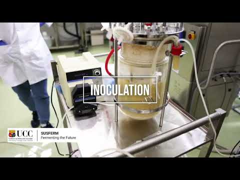 Masters in Industrial Biotechnology and Biomanufacturing