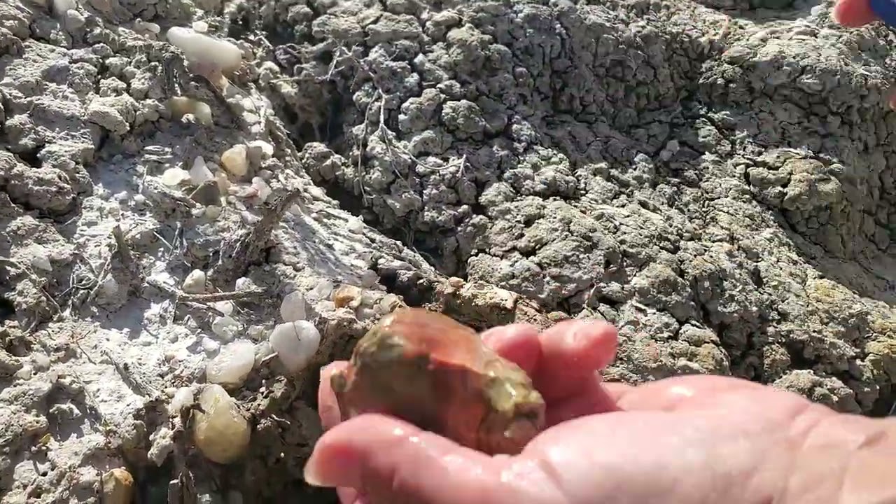 Sick Fairburn agate