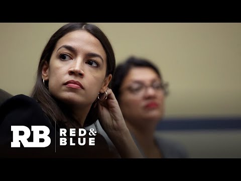 The role of progressives in the 2020 election