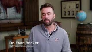 Learning Center Videos | US Equestrian