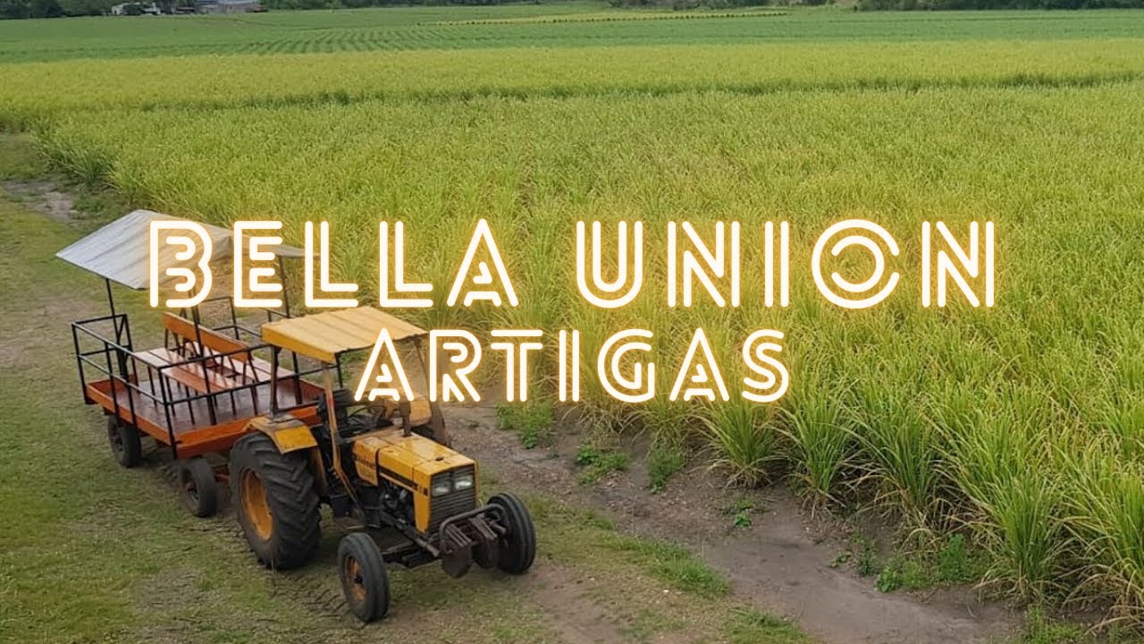 Visitamos Bella Unión y realizamos el paseo de la caña de azúcar.