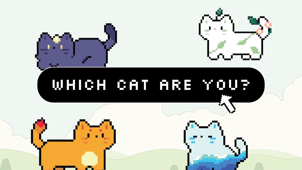 Cozy code with me | coding a personality quiz website (html, css, javascript)