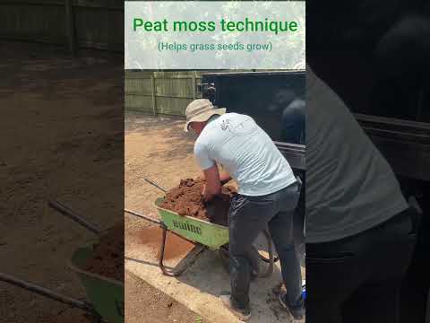 Peat Moss Technique YOU NEED TO KNOW!