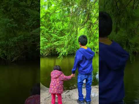Kids read poem ‘Four ducks on the pond’ by William Allingham (Farmleigh House & Estate, Phoenix Park