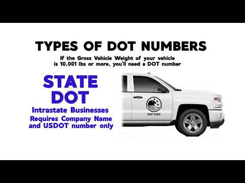 Do You Need A US DOT Number or MC Number? USDOT Decal Lettering Information