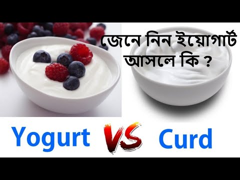 Yogurt vs curd in bengali | উপকার শুনলে চোখ কপালে উঠবে | কিনবেন এক্ষুনি #yogurt #curd #দই