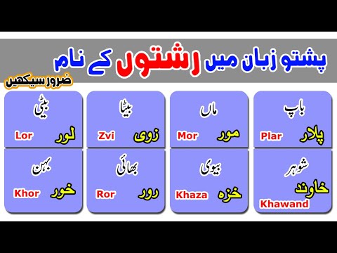 family members name in pashto|Learn relative names with urdu|My family members|pashto basic Learning