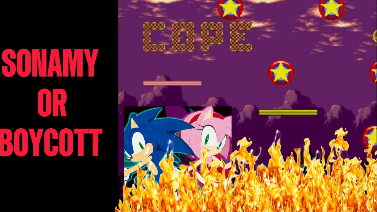 DESTROYING TOXIC SONAMY FAN!!! LET'S TALK