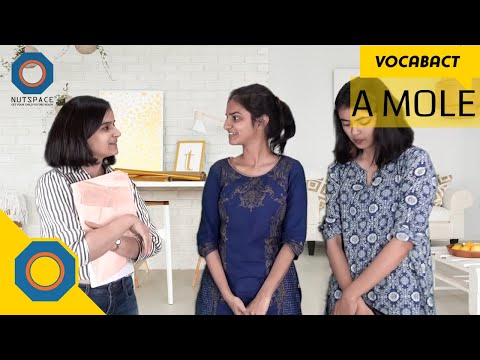 A Mole Meaning | VocabAct | NutSpace