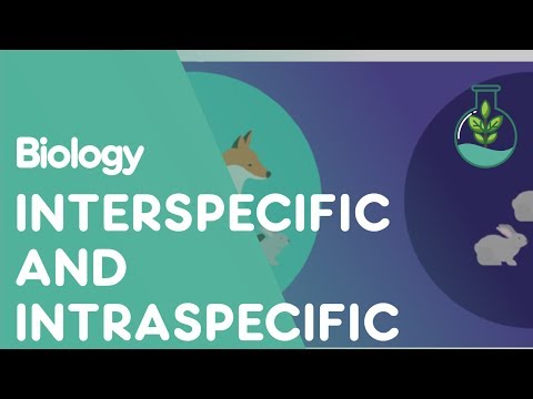 What Are Interspecific & Intraspecific Interactions | Ecology & Environment | Biology | FuseSchool