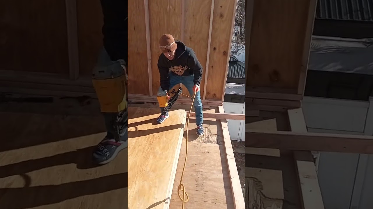 maestro jay , dandole