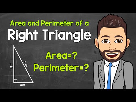 Area and Perimeter of a Right Triangle | Math with Mr. J