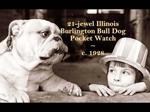 Illinois Burlington 21-jewel Bull Dog Pocket Watch