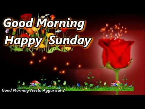 Good Morning Happy Sunday, Happy Sunday Greetings,Happy Sunday Gifs,Happy Sunday Whatsapp Video,Sms