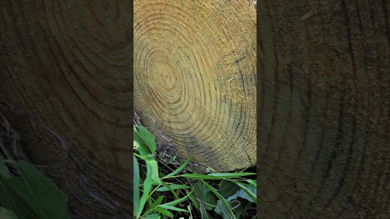 Bro says it's not pin