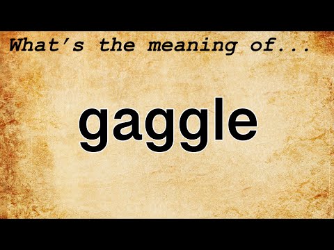 Gaggle Meaning : Definition of Gaggle