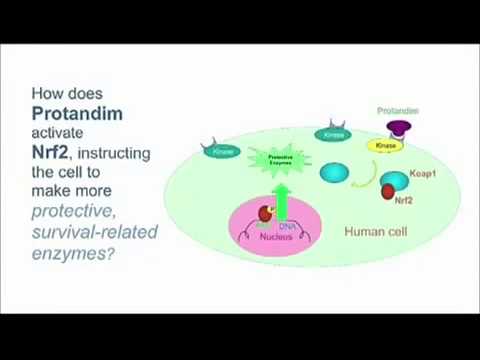 How Does the NRF2 Pathway Work?