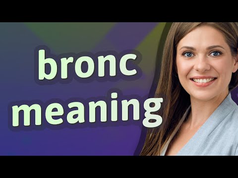 Bronc | meaning of Bronc