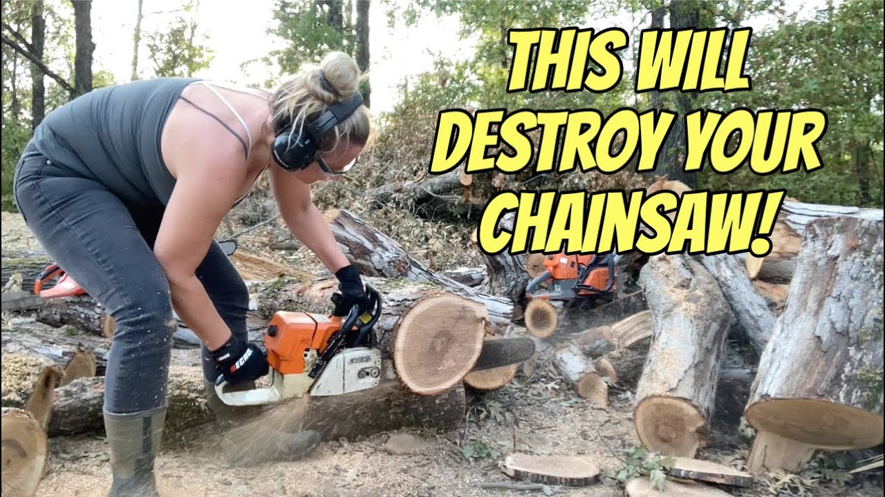 This One Minute Maintenance Will SAVE YOUR SAW! Stihl MS440 Echo CS-590 Timberwolf