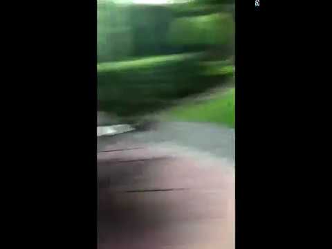 escenas eliminadas de leanan sidhe