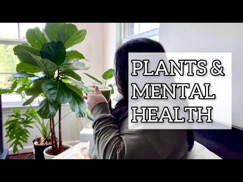 Do Plants REALLY Make People Happy? The Mental Health Costs and ...
