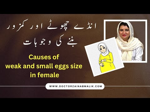 Causes of weak and small eggs Size in femal | Poor Quality Eggs Treatment by Doctor Zainab Malik