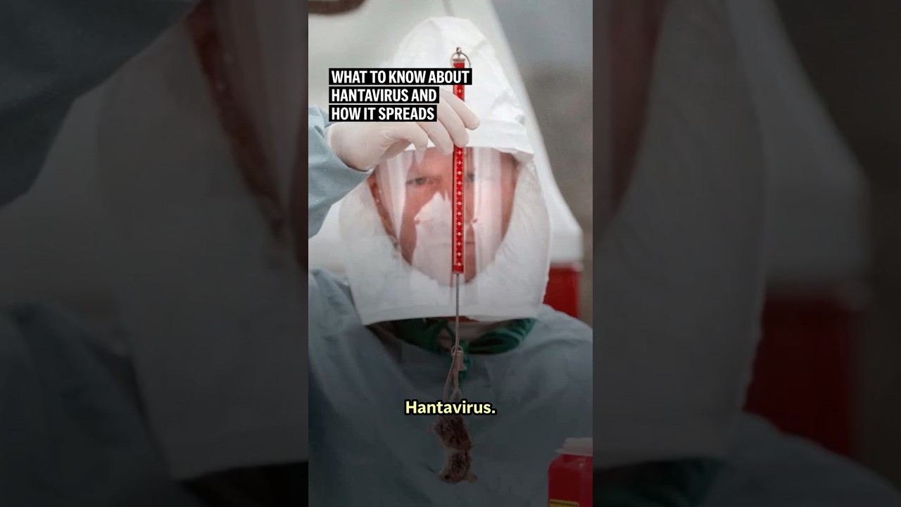 Hantavirus: Signs, symptoms and how it spreads