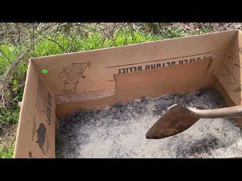 Planting potatoes in a cardboard box