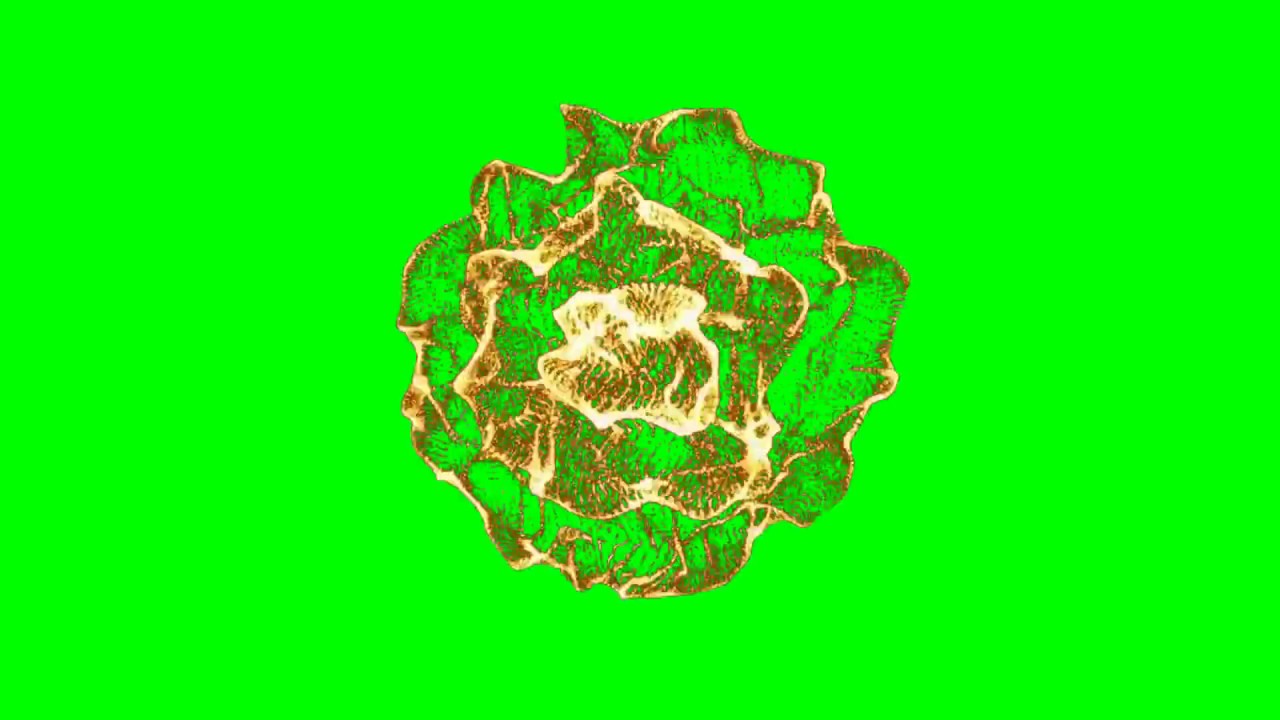 Golden Particle Shockwave Effect (green screen)